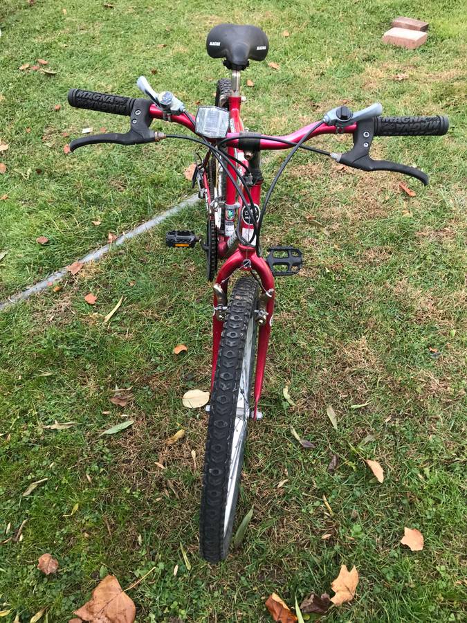 Magna Glacier Point 24'' bike | Looknet